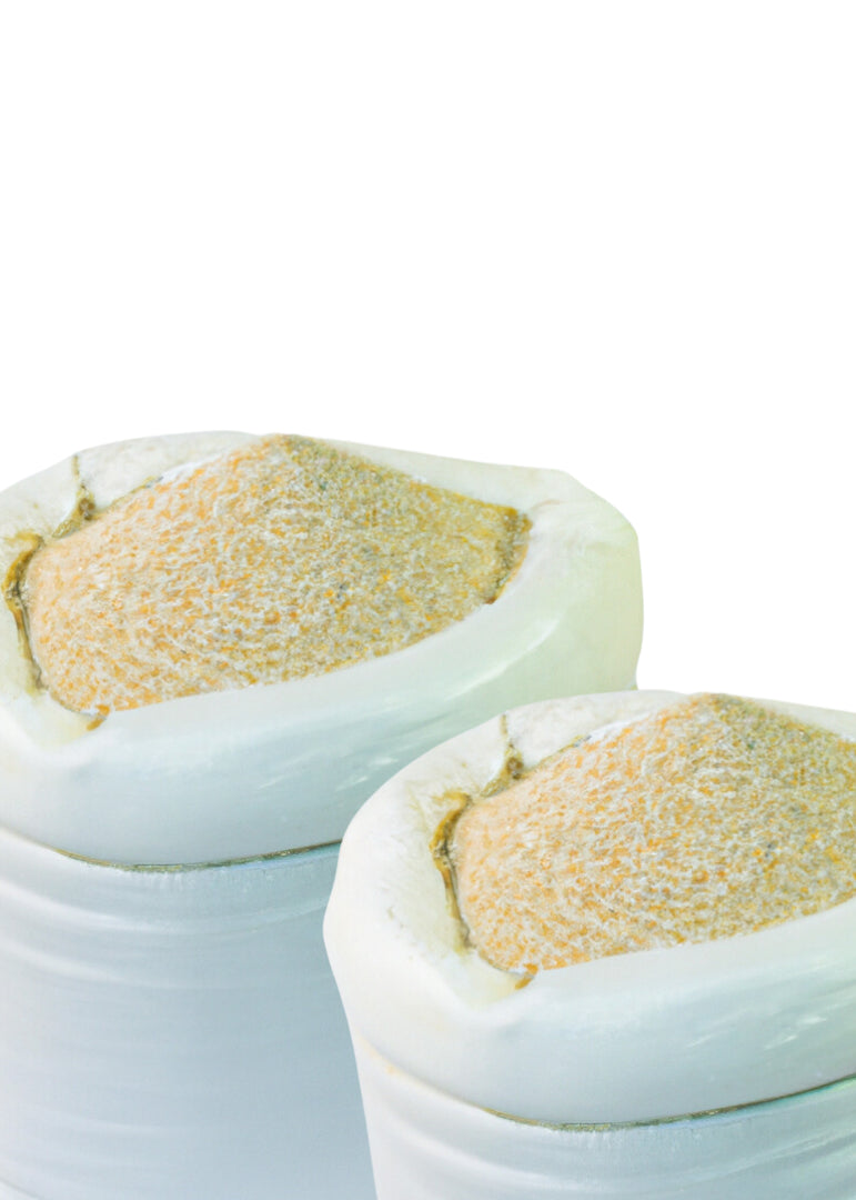 Stockist of Bulk Samp – Africa Aura (PTY) Ltd.